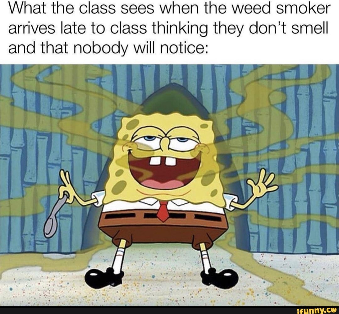Haha funny meme - What the class sees when the weed smoker arrives late ...