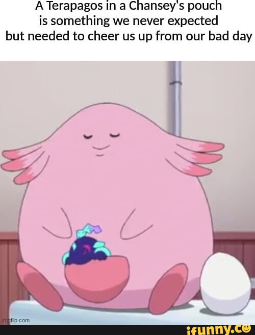 Terapagos memes. Best Collection of funny Terapagos pictures on iFunny