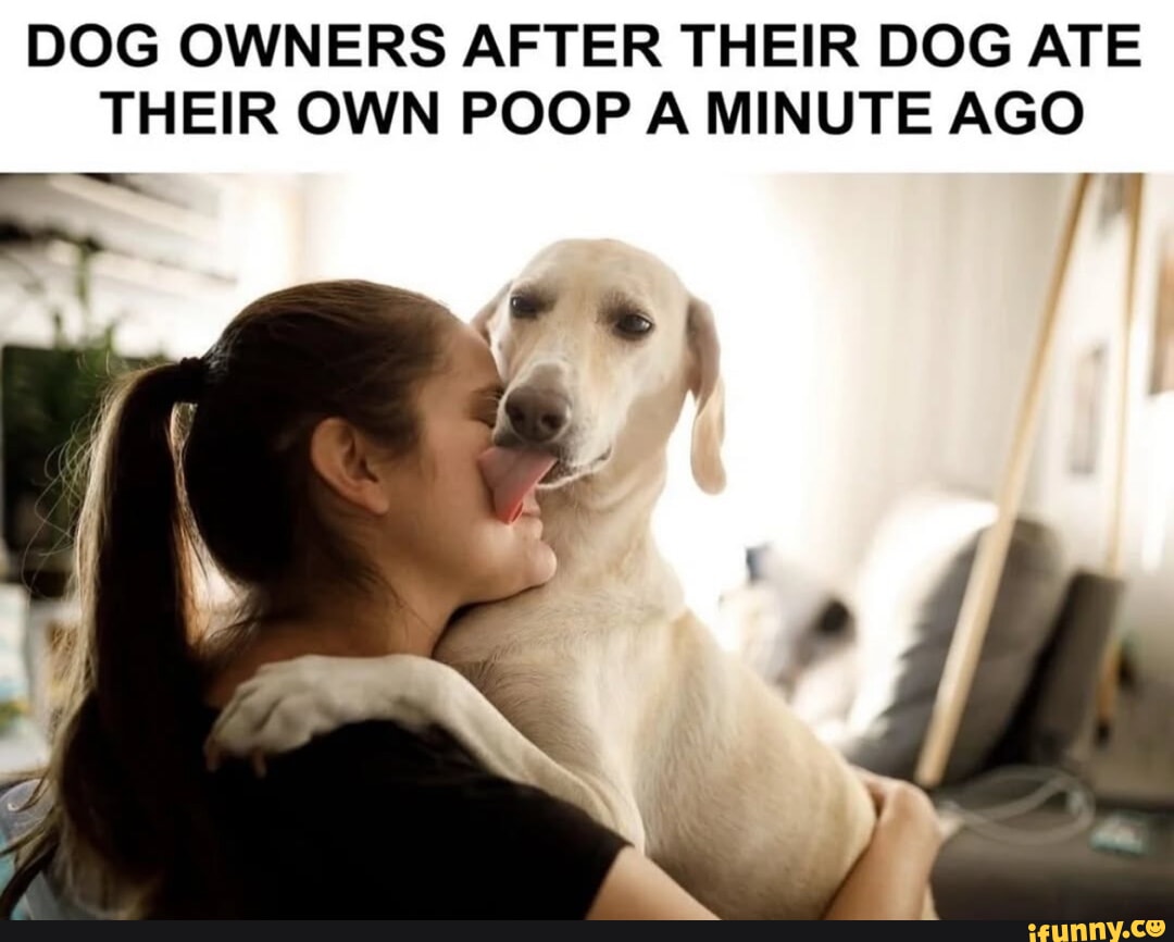 DOG OWNERS AFTER THEIR DOG ATE THEIR OWN POOP A MINUTE AGO - iFunny