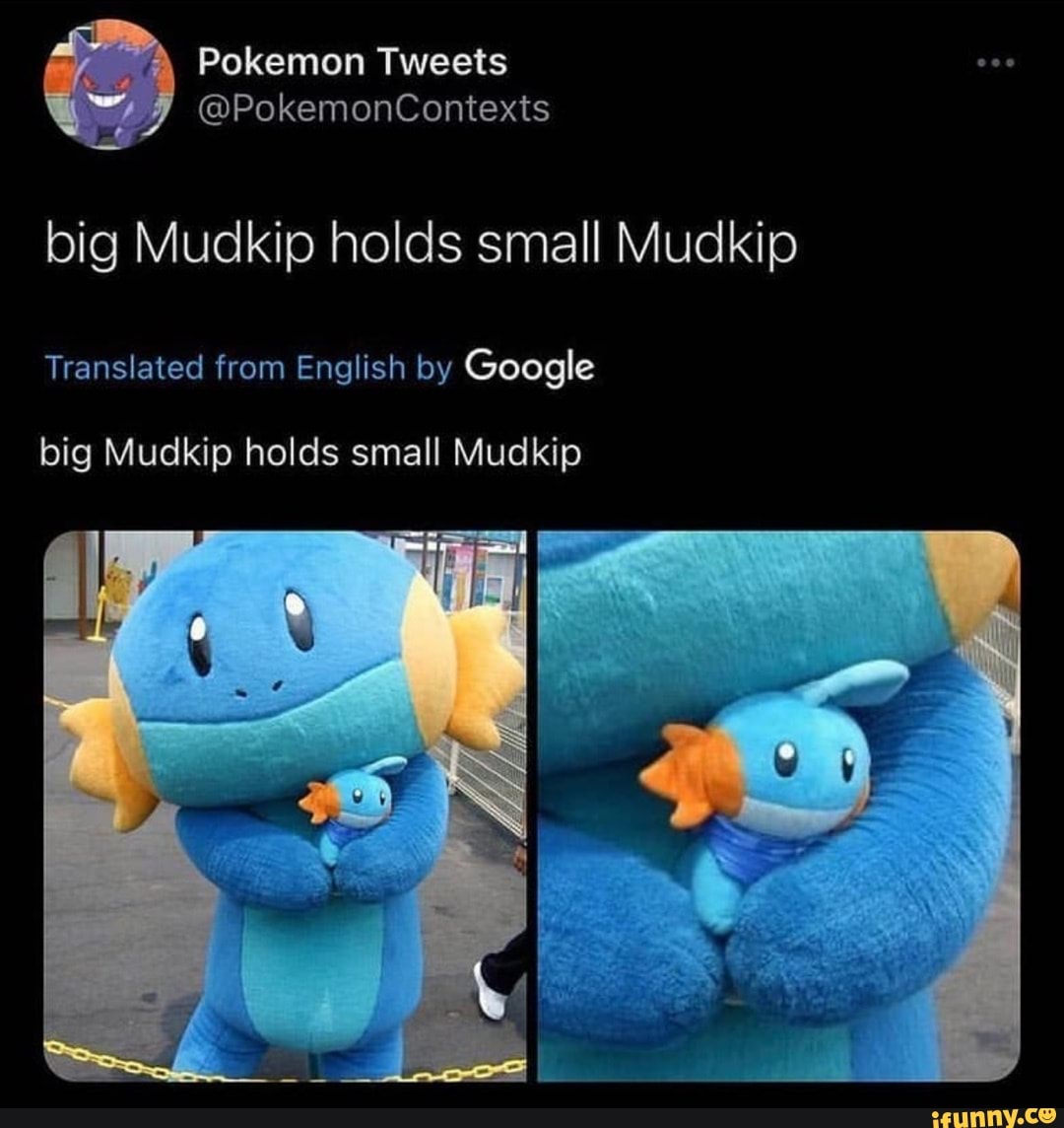 Pokemon Tweets @PokemonContexts big Mudkip holds small Mudkip ...