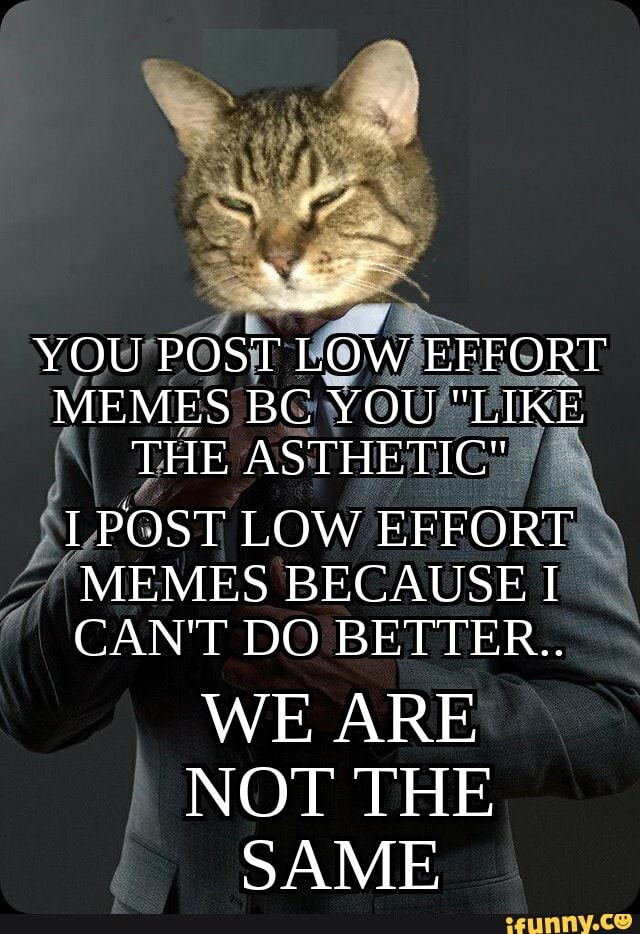 YOU POST LOW EFFORT MEMES BC YOU "LIKE THE ASTHETIC" POST LOW EFFORT MEMES BECAUSE I CAN'T DO ...