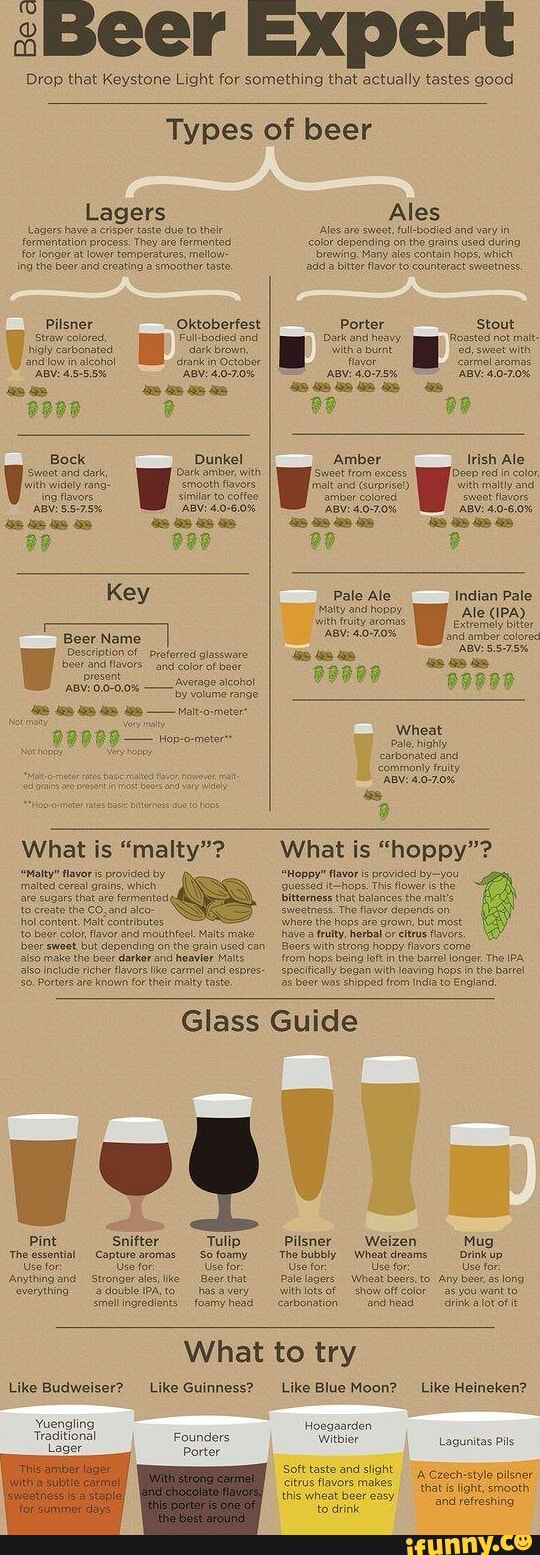 Lager memes. Best Collection of funny Lager pictures on iFunny