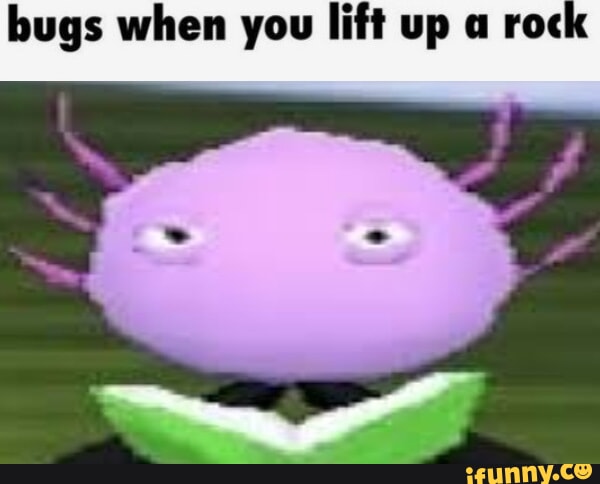 Bugs when you lift up a rock - iFunny