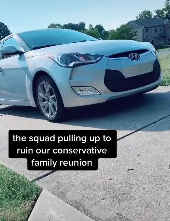 The squad pulling up to ruin our conservative family reunion - )