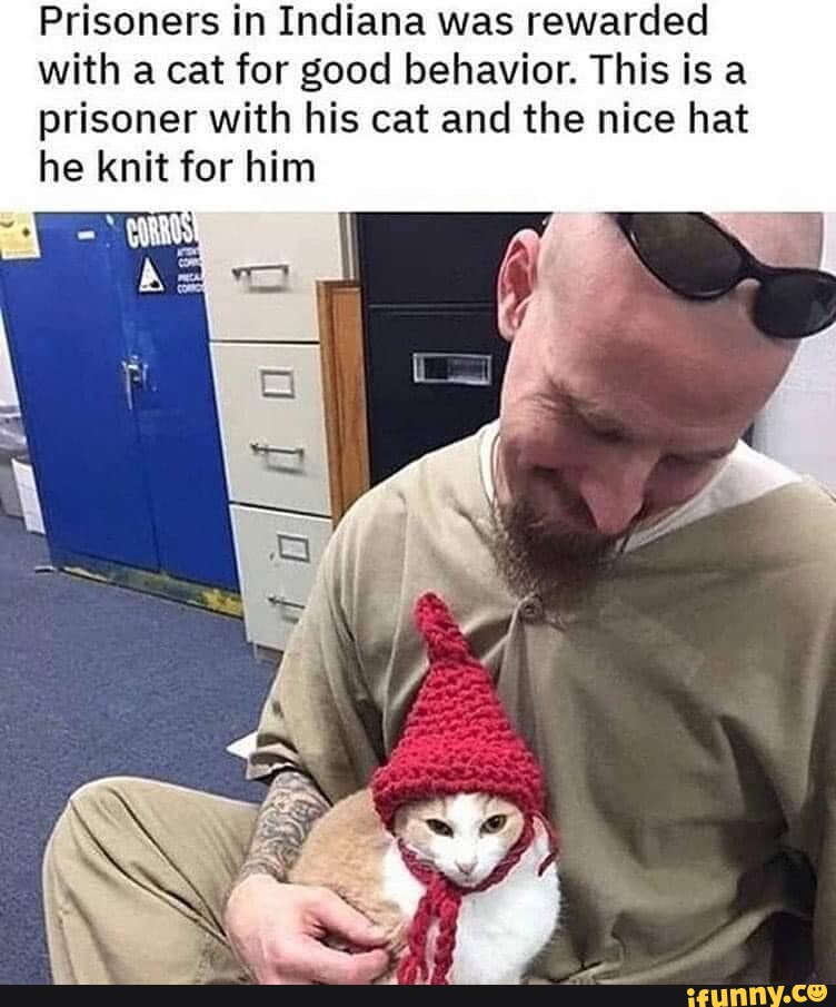 Prisoners in Indiana was rewarded with a cat for good behavior. This is ...