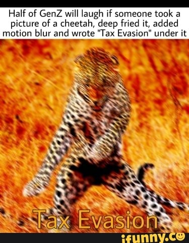 Laughing Cheetah Meme