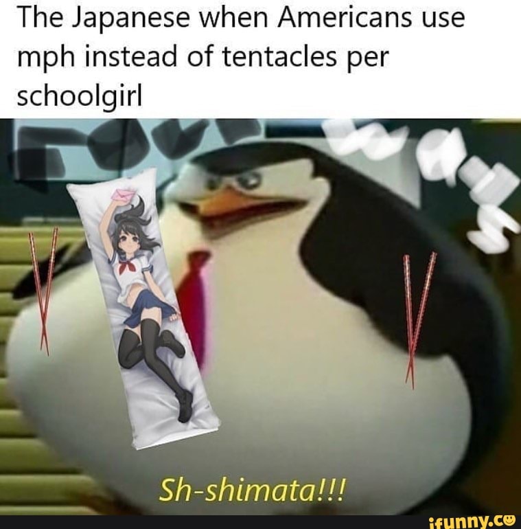 Shimata memes. Best Collection of funny Shimata pictures on iFunny