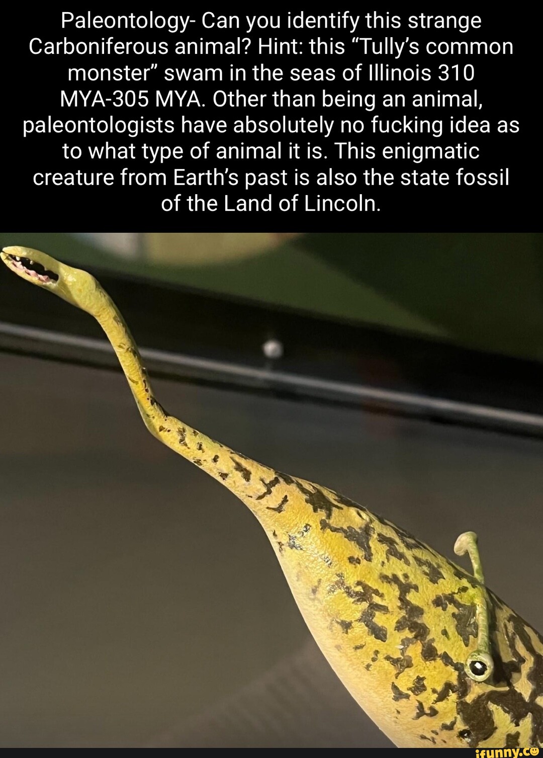 Paleontologists memes. Best Collection of funny Paleontologists ...