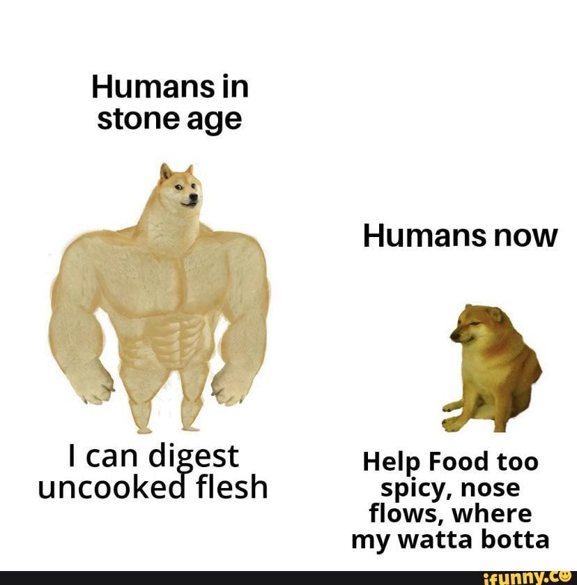 Humans in stone age Humans now can digest Help Food too uncooked flesh ...