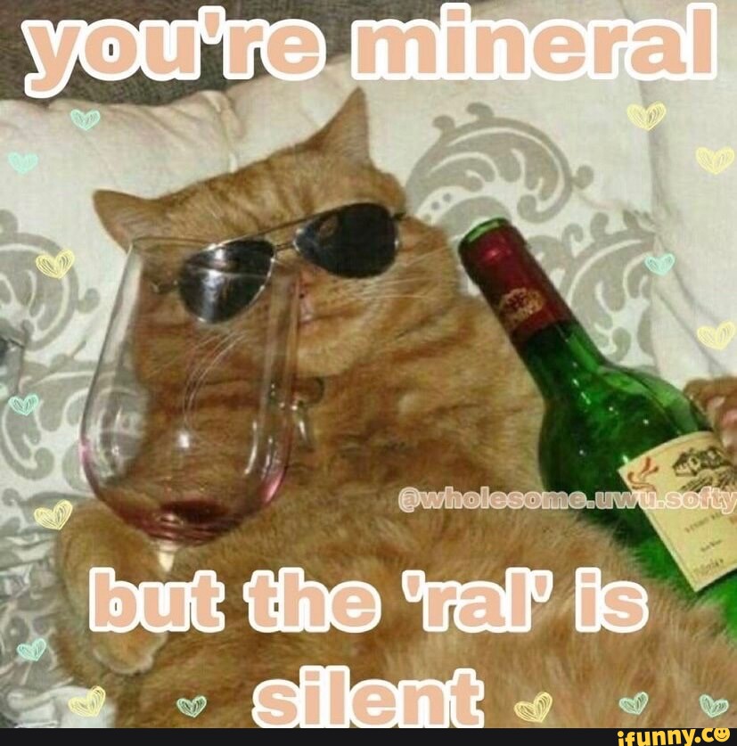 Tivo memes. Best Collection of funny Tivo pictures on iFunny