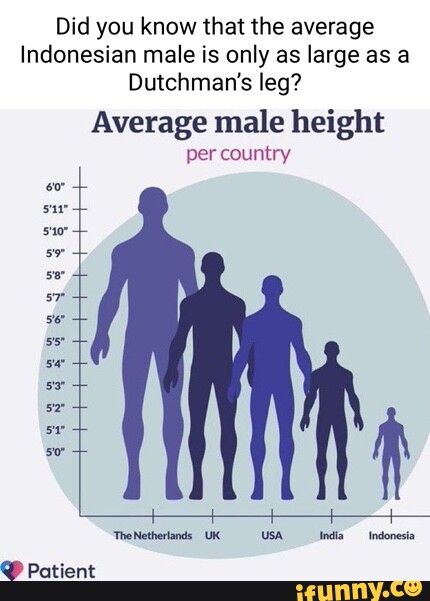 Did you know that the average Indonesian male is only as large as a ...