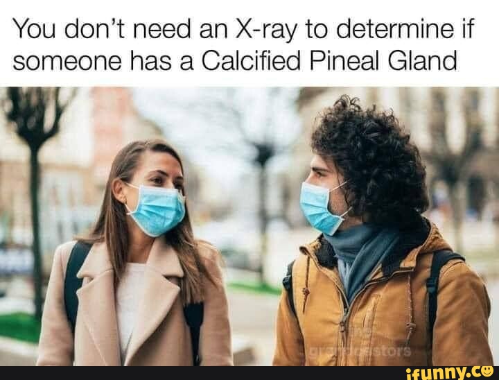 Pineal memes. Best Collection of funny Pineal pictures on iFunny