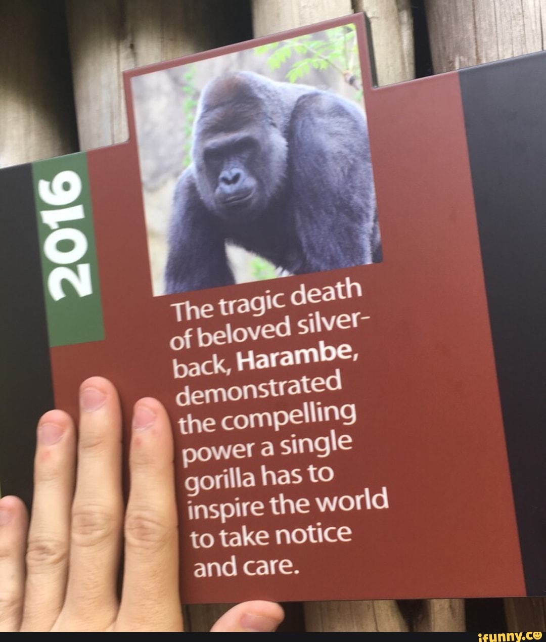 Momk memes. Best Collection of funny Momk pictures on iFunny