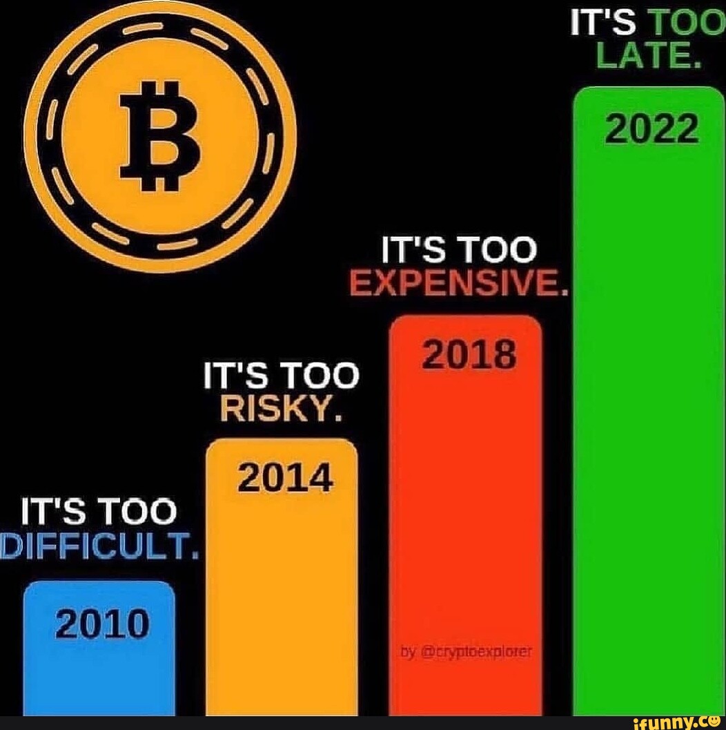 LATE. ITS TOO EXPENSIVE. IT'S TOO RISKY. IT'S TOO DIFFICULT. 2010 - iFunny