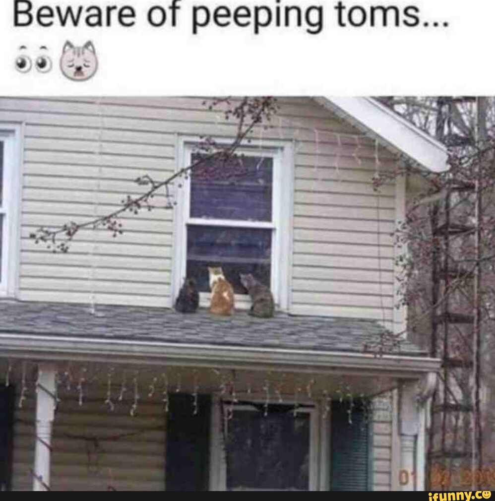 Peeping memes. Best Collection of funny Peeping pictures on iFunny