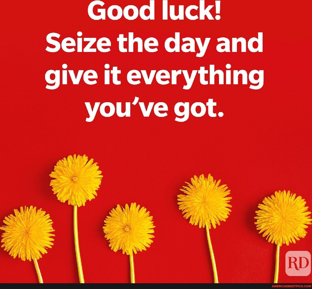 Good luck! Seize the day and give it everything you've got. - America’s ...