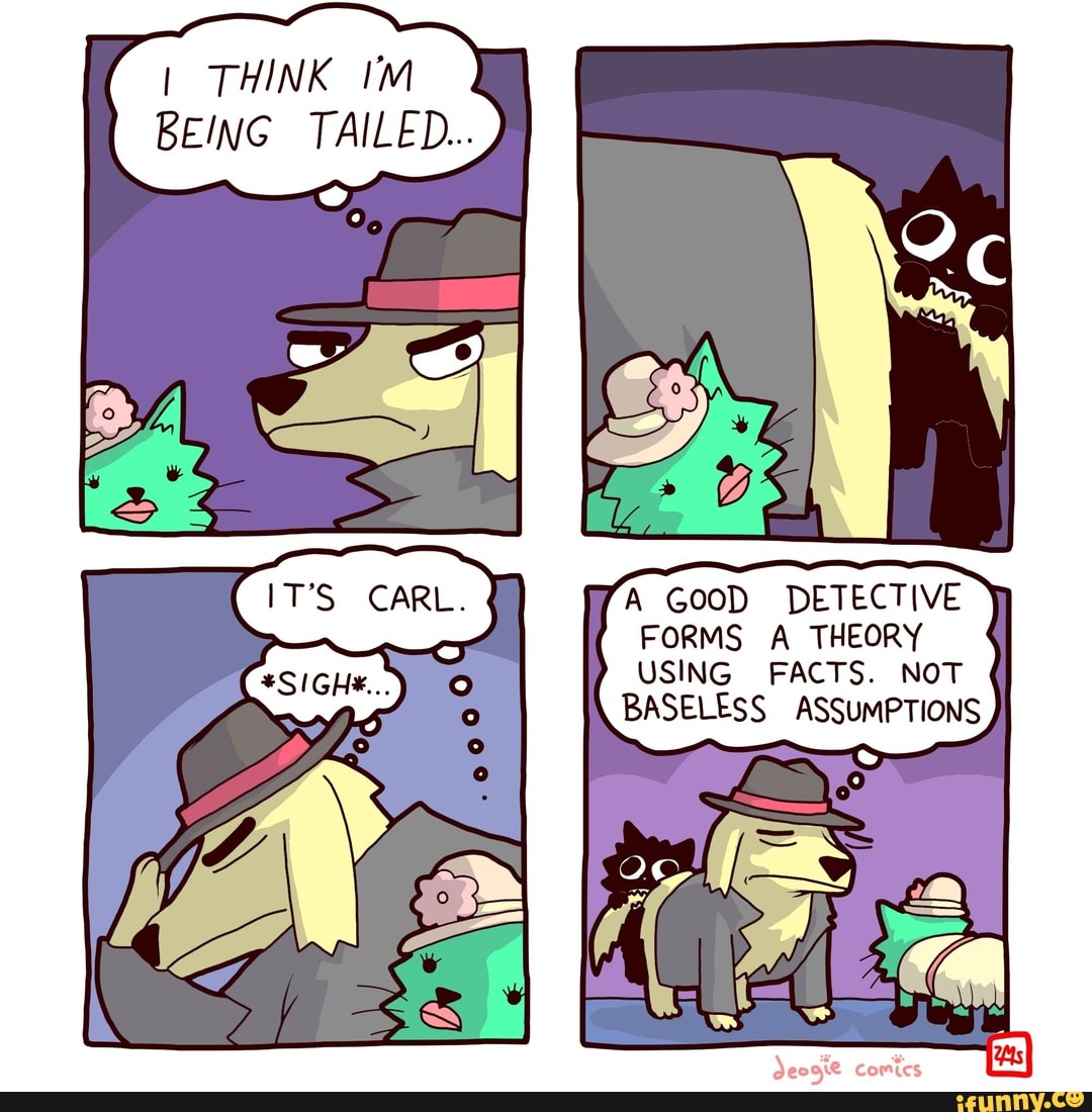 I THINK IM BEING TAILED... A GOOD DETECTIVE FORMS A THEORY USING FACTS ...