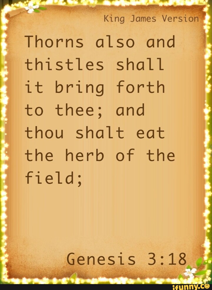 Thistles memes. Best Collection of funny Thistles pictures on iFunny