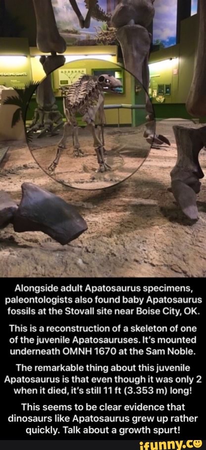 Baby Brontosaurus Meme