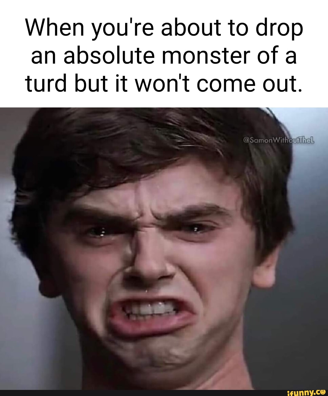 When you're about to drop an absolute monster of a turd but it won't ...