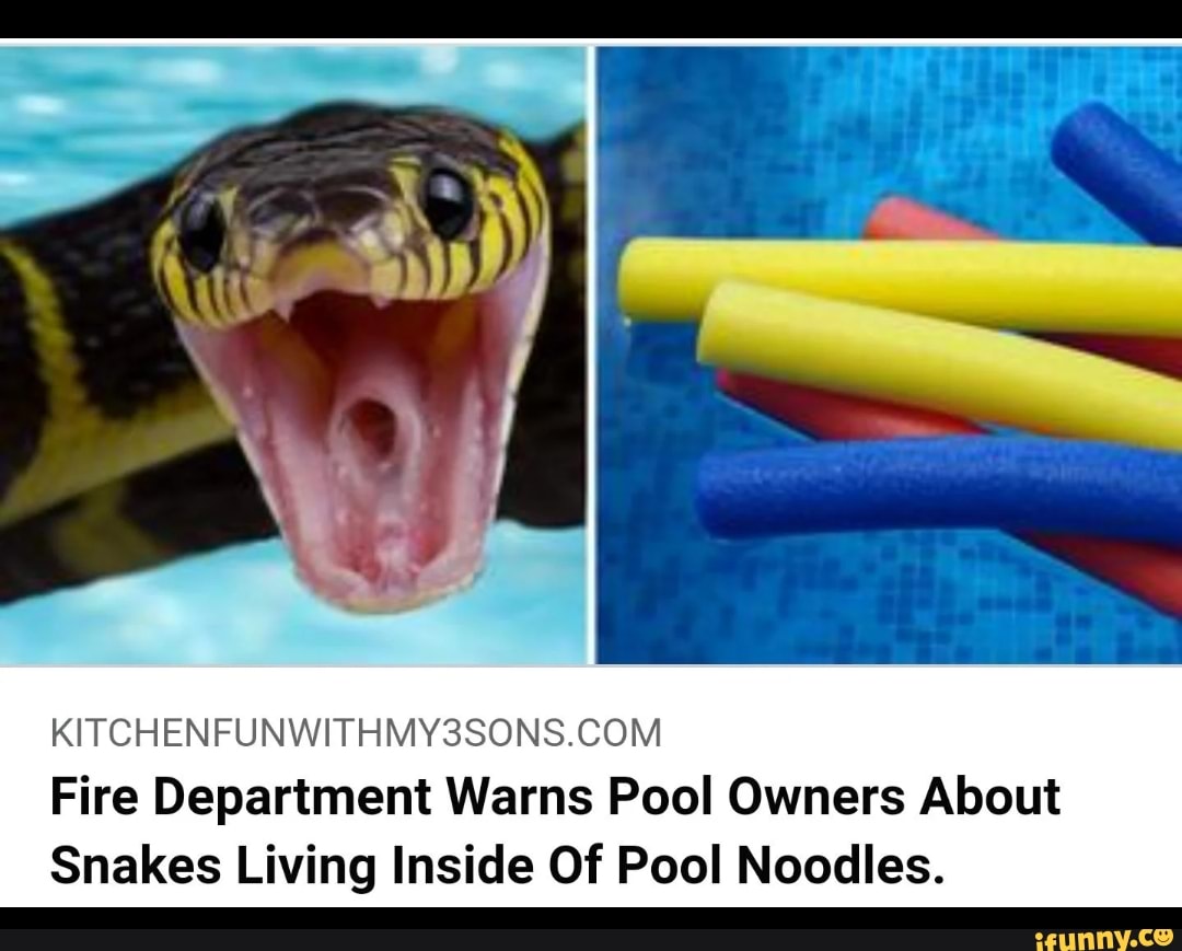 Fire Department Warns Pool Owners About Snakes Living Inside Of Pool ...