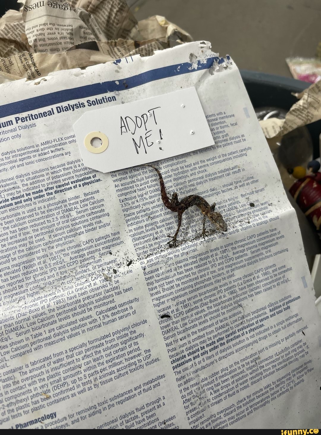 Putters memes. Best Collection of funny Putters pictures on iFunny