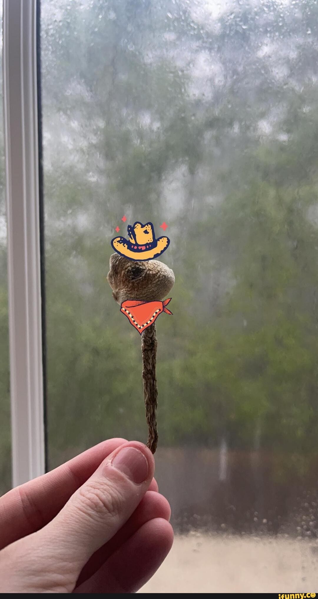 Magic_mushrooms memes. Best Collection of funny Magic_mushrooms ...