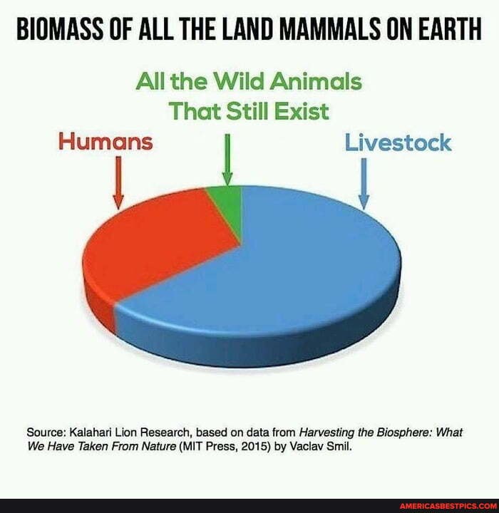 BIOMASS OF ALL THE LAND MAMMALS ON EARTH All the Wild Animals That ...