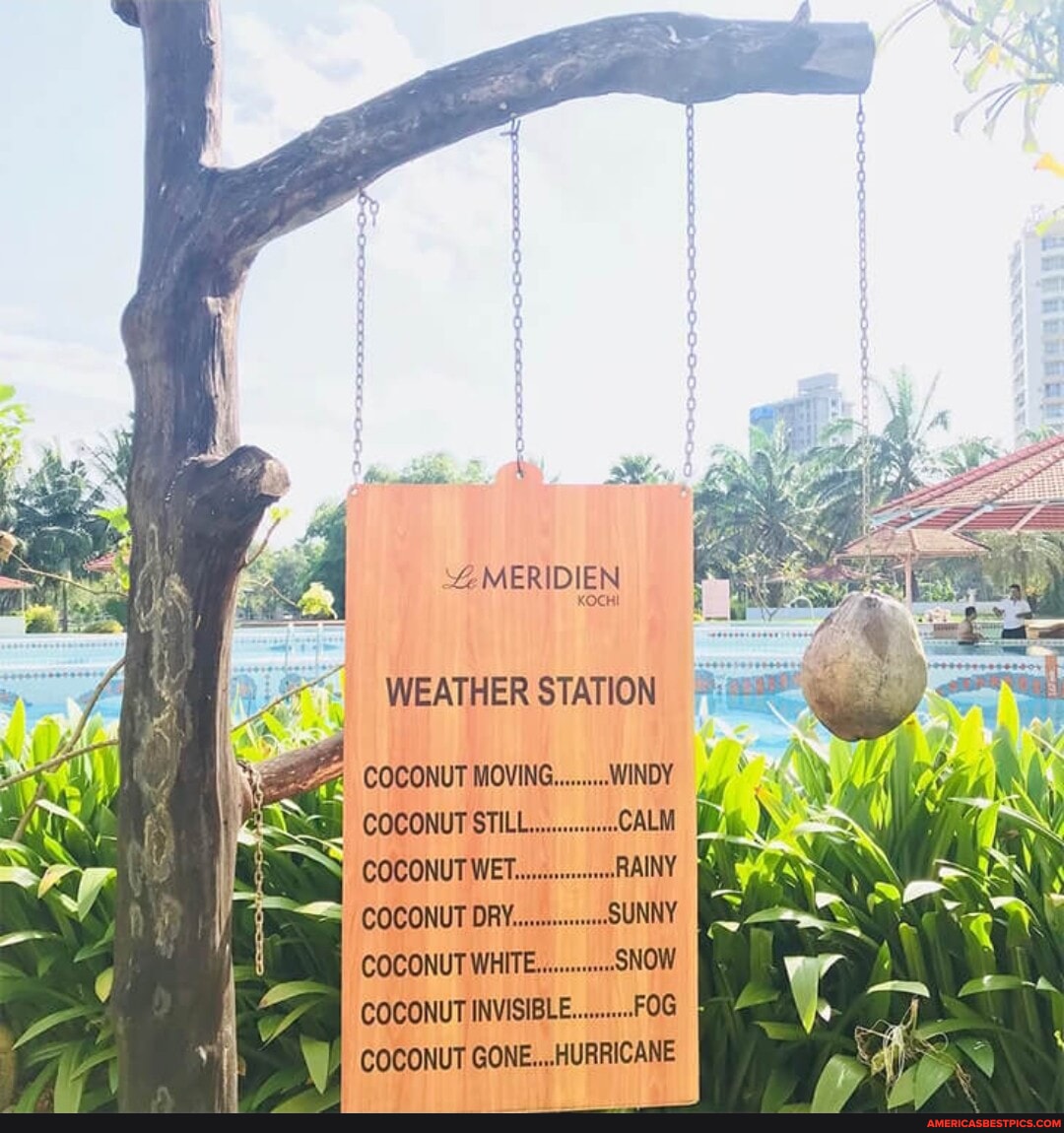 MERIDIEN WEATHER STATION COCONUT MOVING........WINDY COCONUT STILL ...