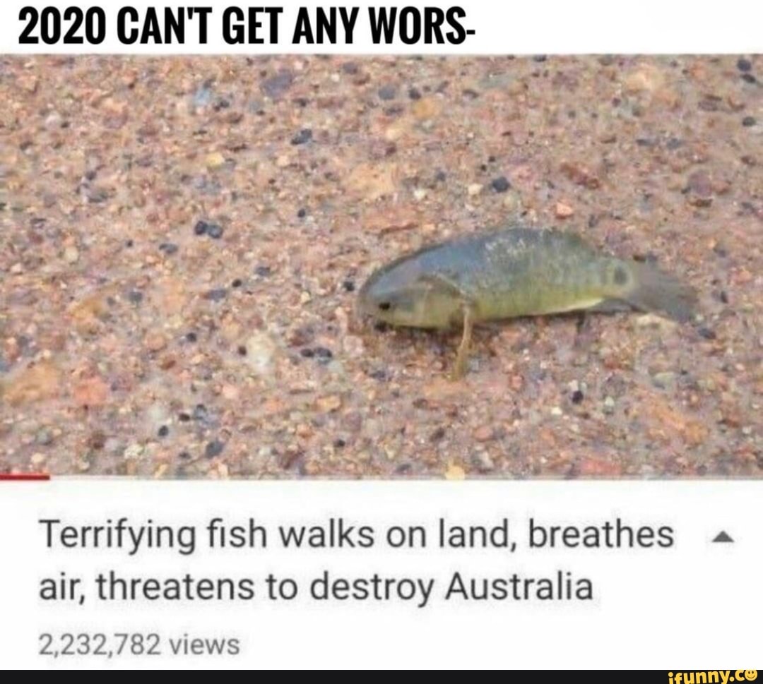 2020 CAN'T GET ANY WORS- Terrifying fish walks on land, breathes " air ...