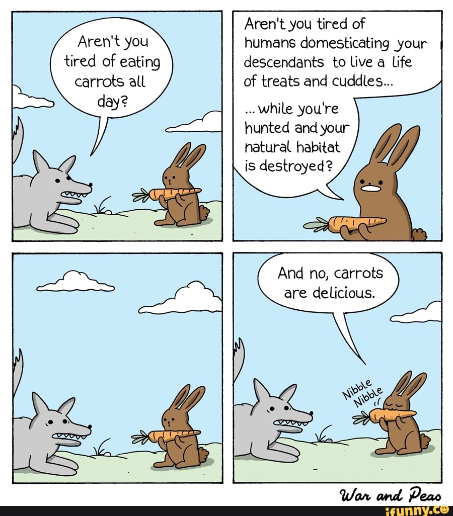 Carrots memes. Best Collection of funny Carrots pictures on iFunny