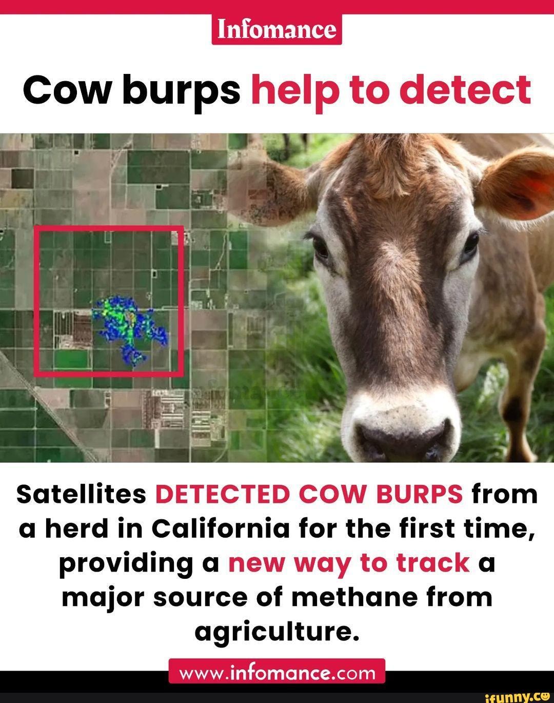 Infomance Cow burps help to detect Satellites DETECTED COW BURPS from a ...
