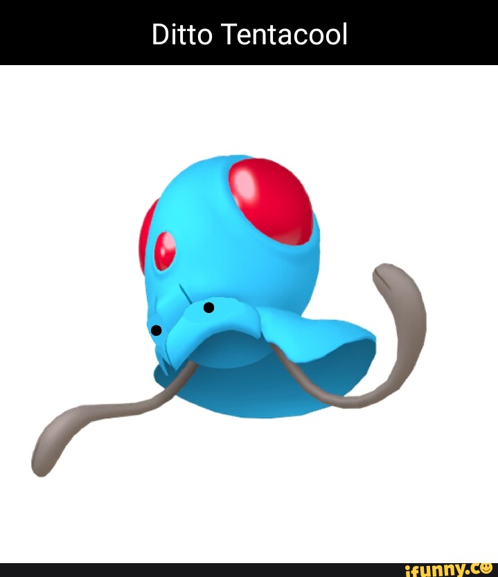 Tentacool memes. Best Collection of funny Tentacool pictures on iFunny