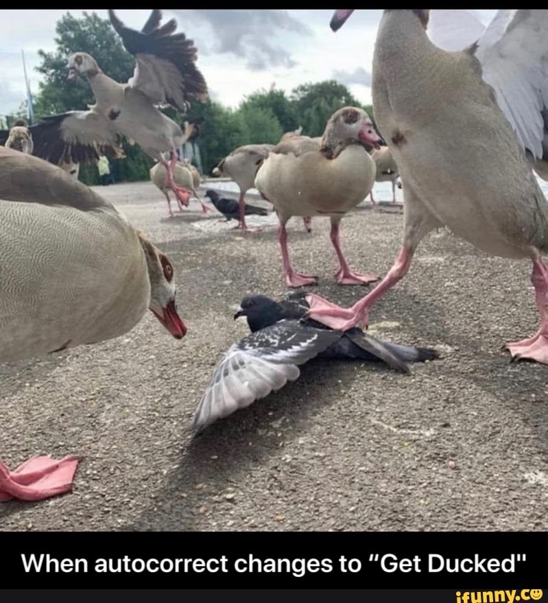 When autocorrect changes to "Get Ducked" - When autocorrect changes to ...