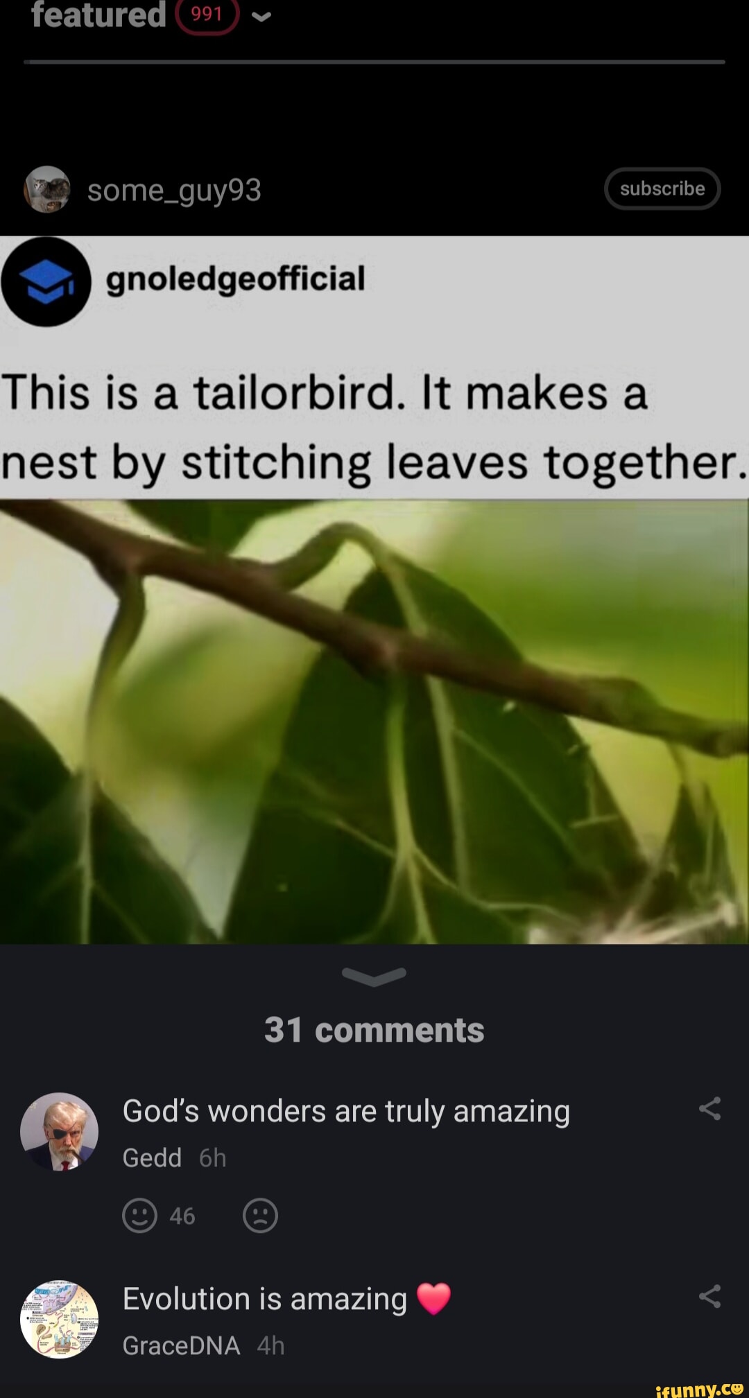 Stitching memes. Best Collection of funny Stitching pictures on iFunny