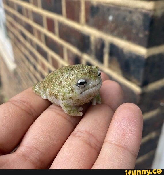 Smirk memes. Best Collection of funny Smirk pictures on iFunny