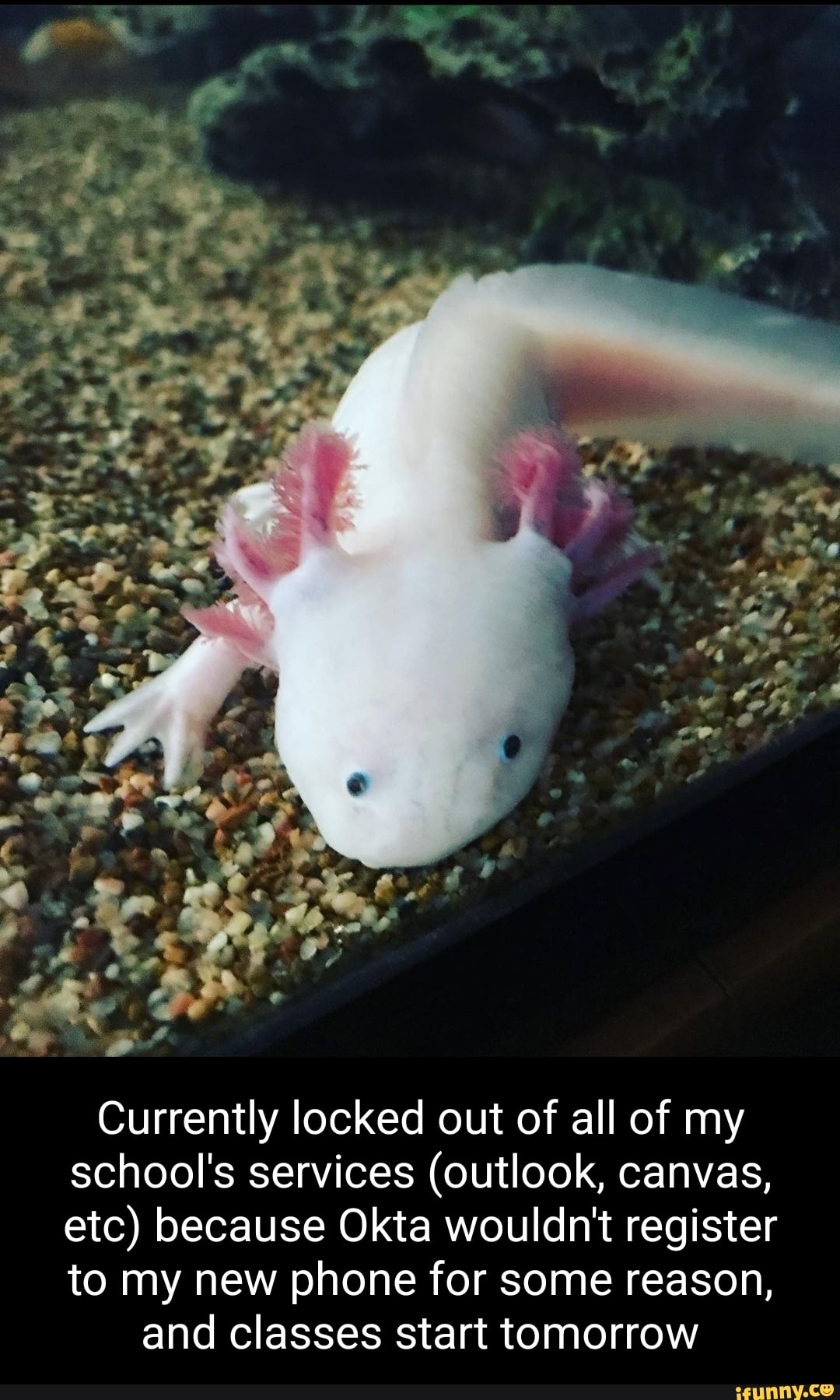 Okta memes. Best Collection of funny Okta pictures on iFunny