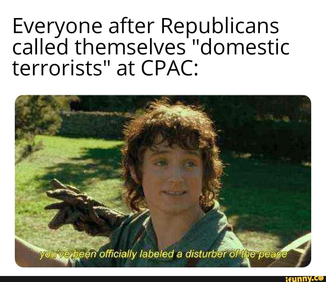 Everyone after Republicans called themselves "domestic terrorists" at ...