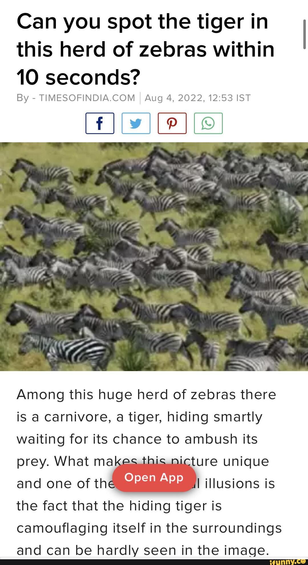 Zebras And Tigers