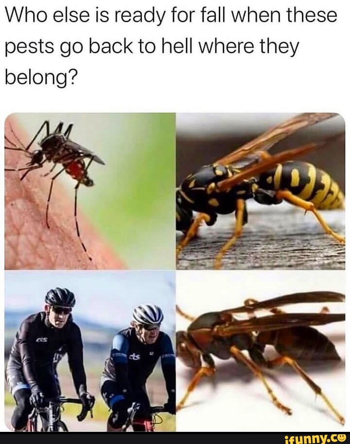 Picture memes yUm77jTp7 by tanag: 380 comments - iFunny