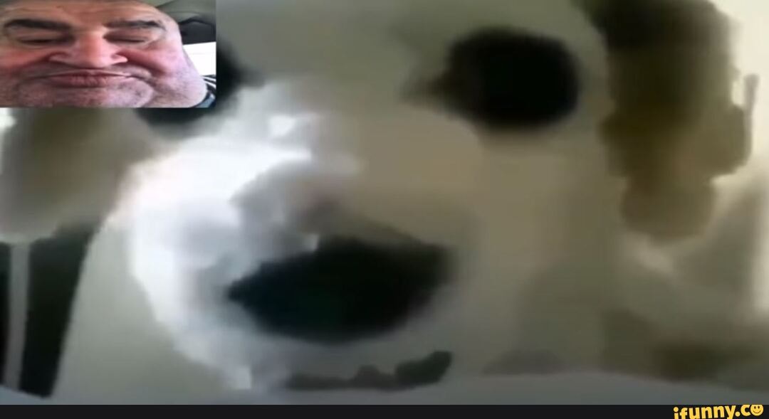 Animeass memes. Best Collection of funny Animeass pictures on iFunny