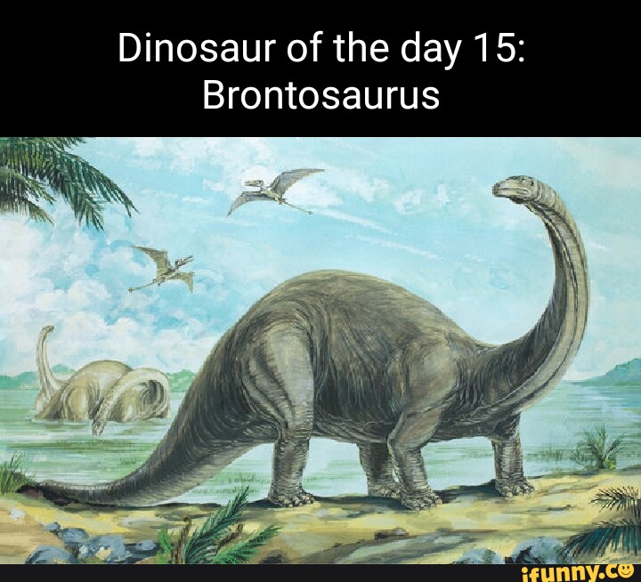 Brontosaurus memes. Best Collection of funny Brontosaurus pictures on ...