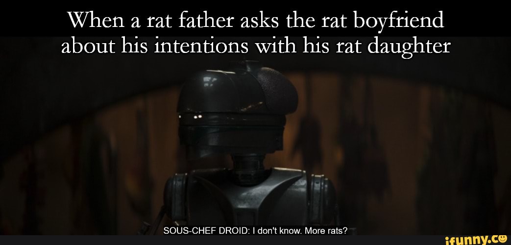 When a rat father asks the rat boyfriend about his intentions with his ...