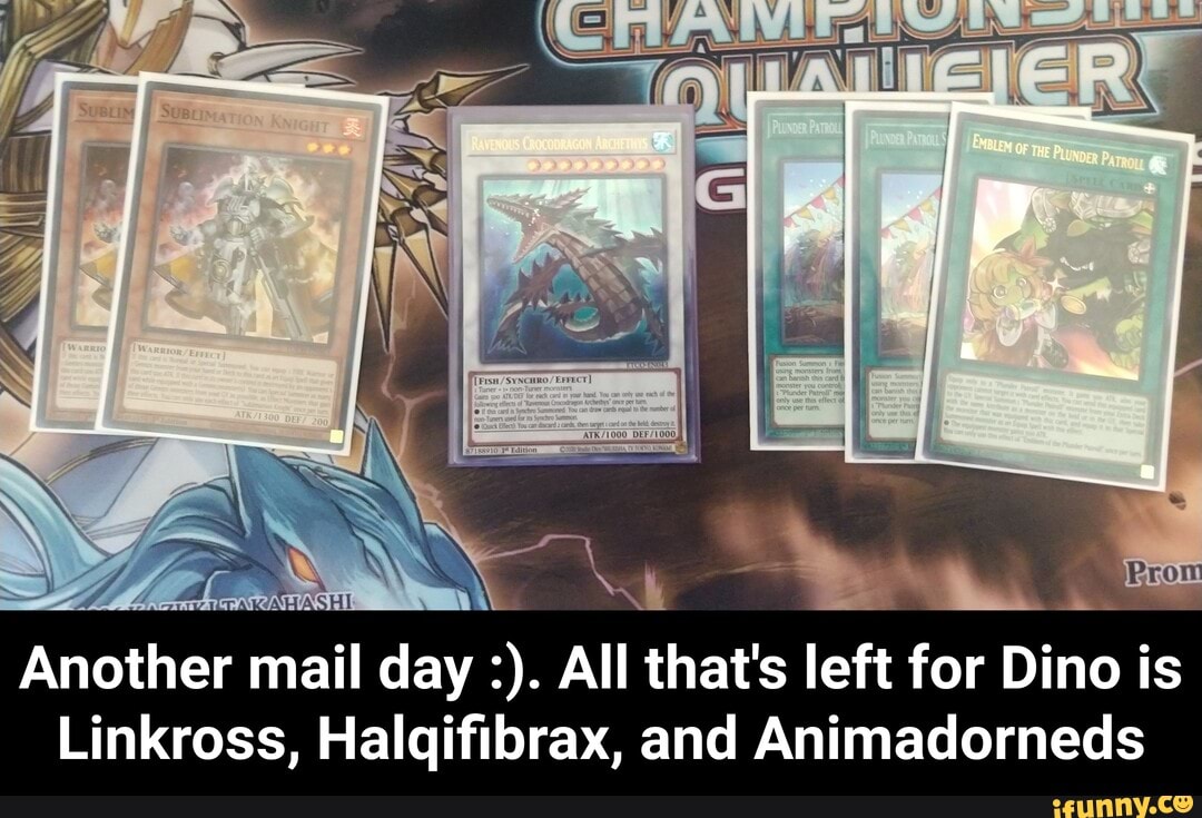 Halqifibrax memes. Best Collection of funny Halqifibrax pictures on iFunny