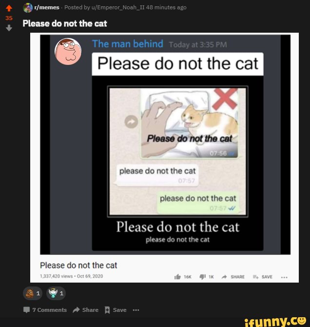 Memes Please do not the cat The man behind Please do not the cat Please ...