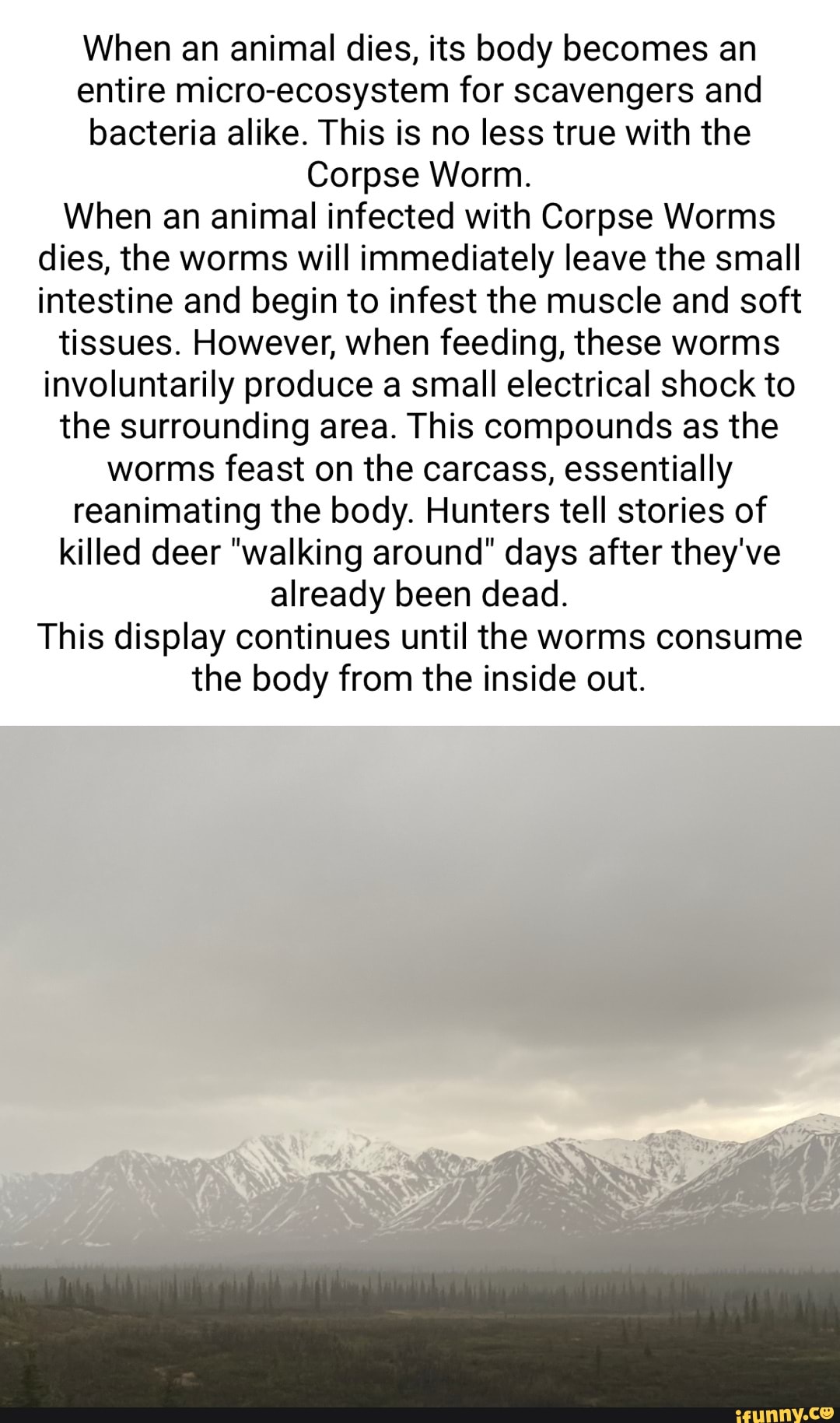When an animal dies, its body becomes an entire micro-ecosystem for ...