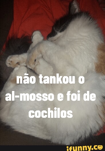 Não tankou o al-mosso e foi de cochilos - iFunny
