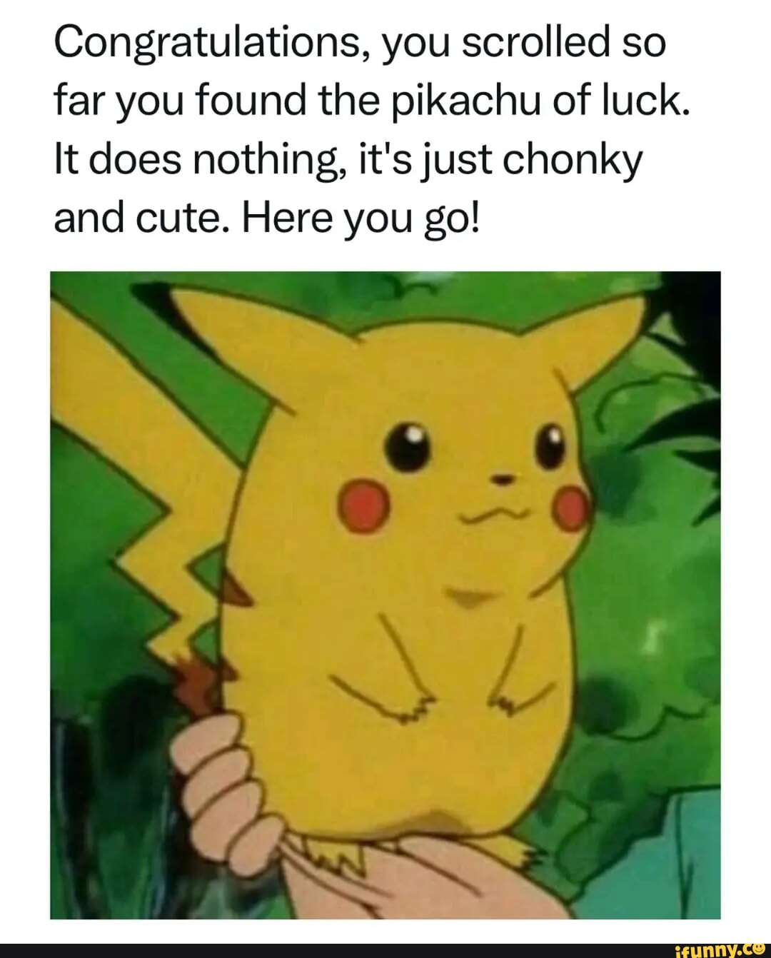 Congratulations, you scrolled so far you found the pikachu of luck. It ...