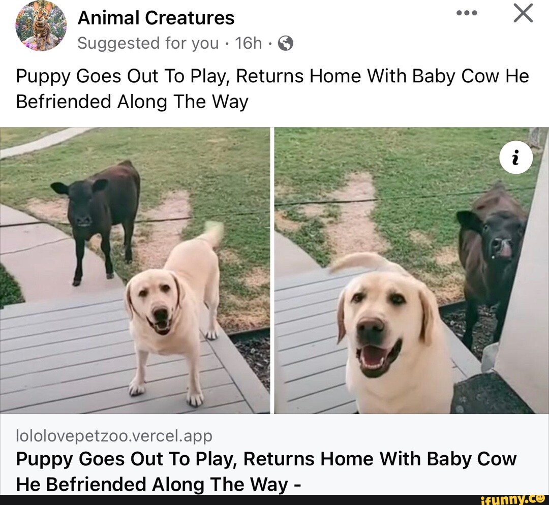 Vercel memes. Best Collection of funny Vercel pictures on iFunny