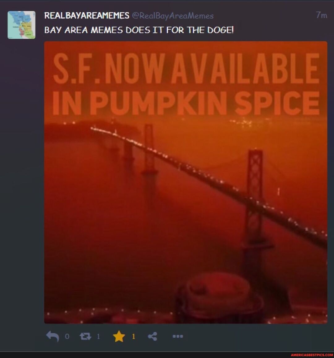 REALBAYAREAMEMES BAY AREA MEMES DOES IT FOR THE DOGE! wi www - America ...